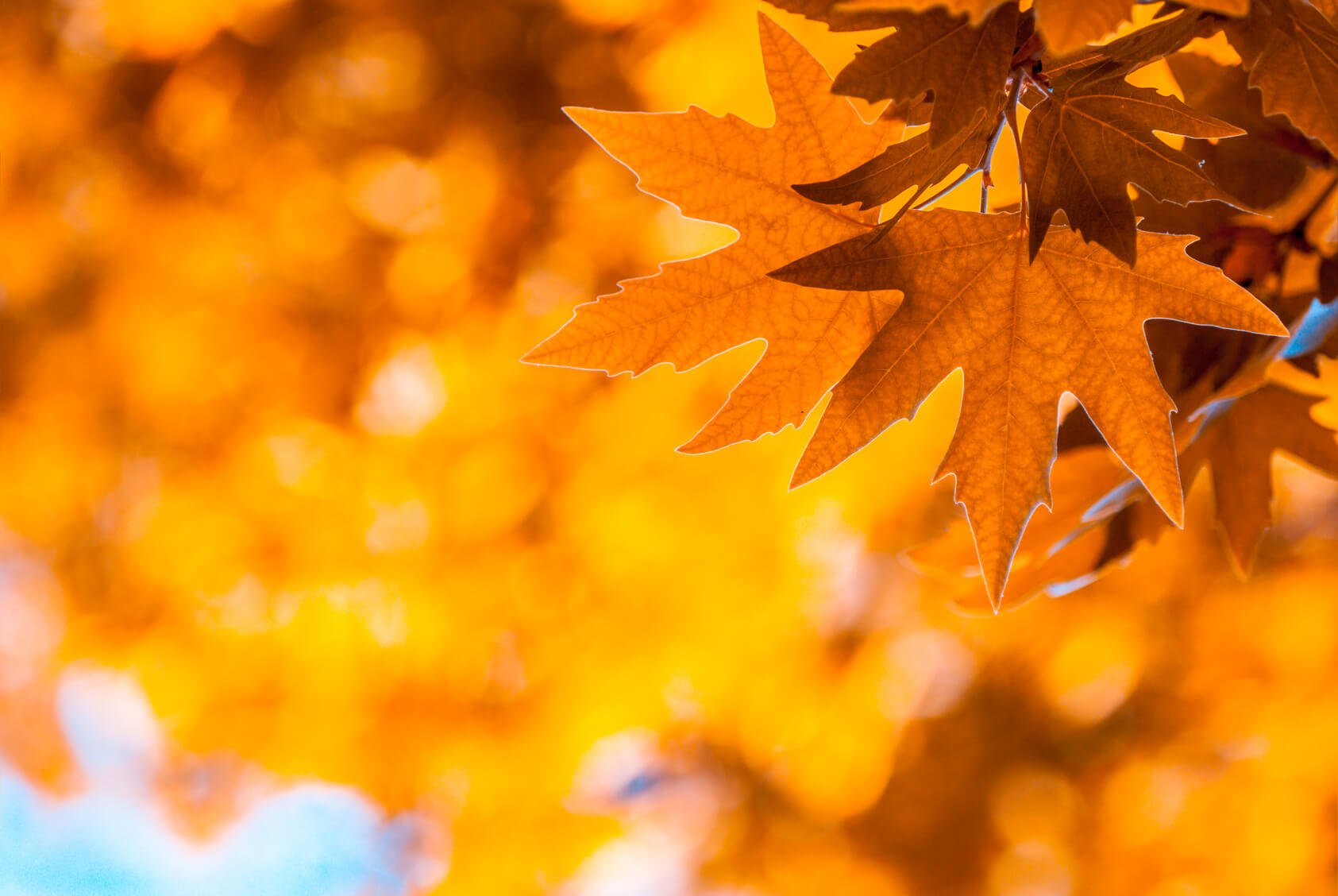 Follow these Tips to get Your Home Ready for Fall - Campbell-Wolfgram ...